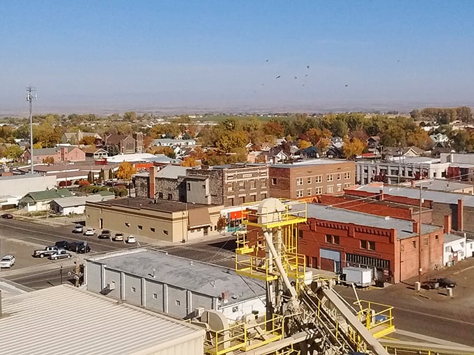 Downtown Buhl blends historic brick buildings with small-town charm, offering affordable living surrounded by Idaho’s wide-open beauty.