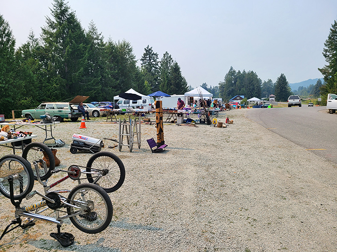 Bicycles await new adventures at Cement City Swap Meet, where small-town charm makes every find feel like a personal victory.
