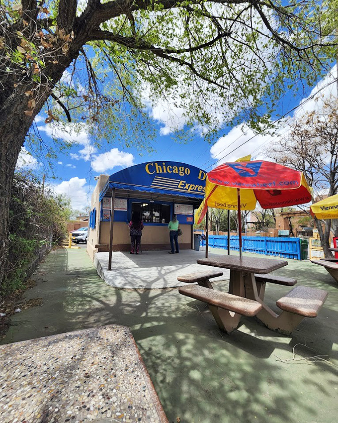 Picnic tables under shady trees and a classic food stand create the ultimate recipe for relaxed outdoor dining.