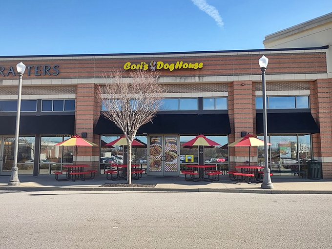 Behind that cheerful yellow sign lies a hot dog paradise with more regional varieties than you can count.