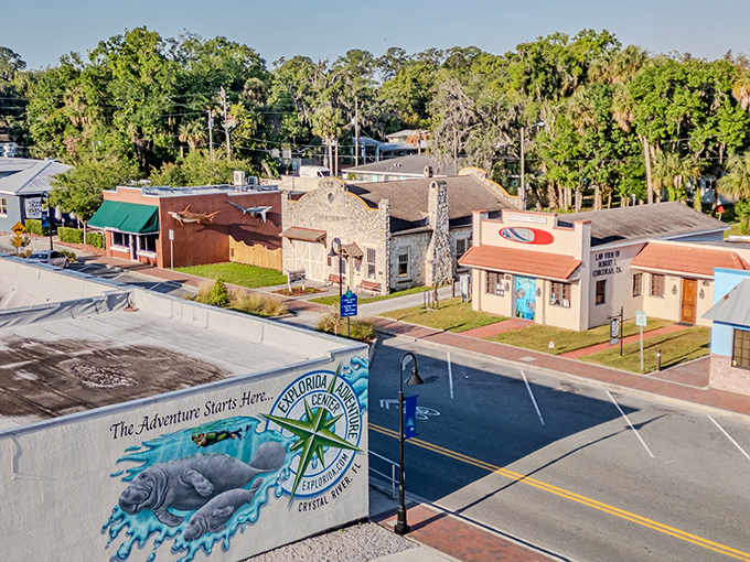 A manatee mural welcomes visitors to Crystal River, where these gentle giants are the true town celebrities.