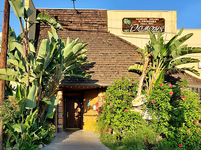 Bask in the sunshine outside Damon’s, where tropical palms and tiki charm set the stage for hearty steaks and classic cocktails.