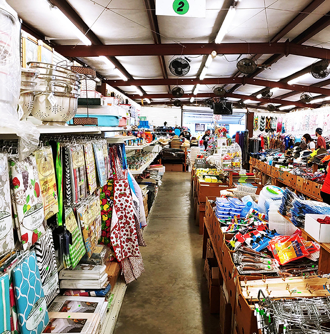 Down this corridor of commerce, every booth tells a different story. The thrill of discovery awaits!