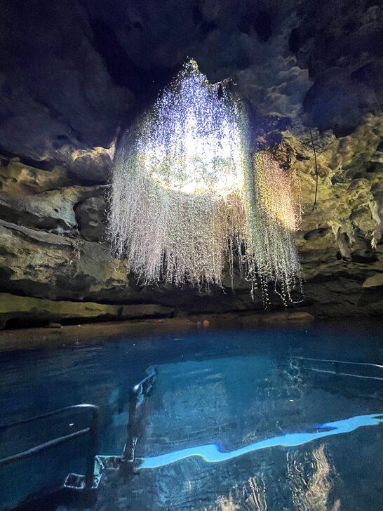 Temple Spring Florida 10 Crystal Clear Springs In Florida That Will Melt Your Stress Away