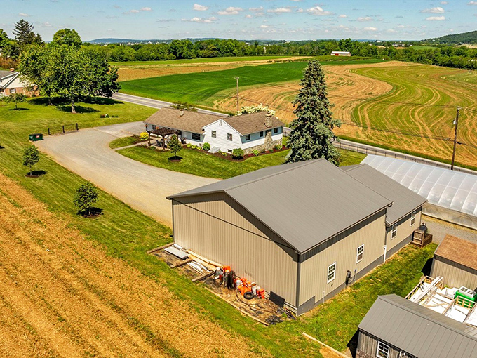 Those perfectly plowed fields aren't just for show&mdash;they're the first chapter in East Earl's farm-to-table story that ends deliciously on your plate.