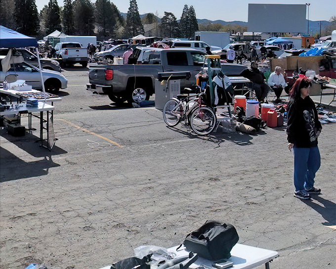 Nothing beats the thrill of outdoor treasure hunting where every table holds potential gold.