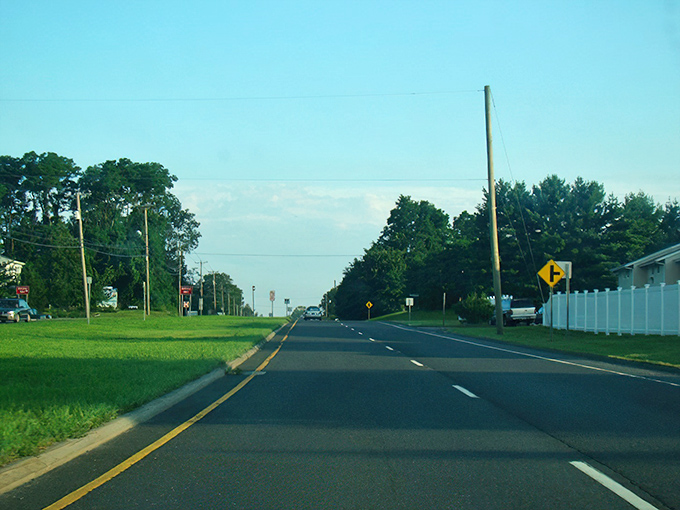 Summer's green embrace along the Ethan Allen Highway! This straight shot of asphalt promises adventure with a side of classic Connecticut charm.