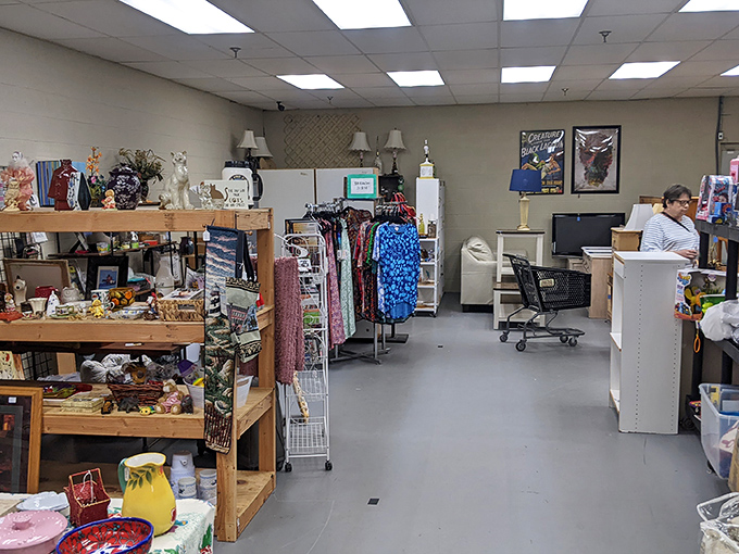 Inside Everything Under The Sun, where shelves overflow with potential treasures and every aisle promises a new discovery.