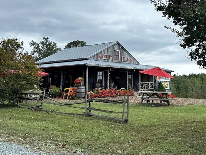 When orchards stretch toward distant mountains, every apple you pick tastes like it earned those incredible views.