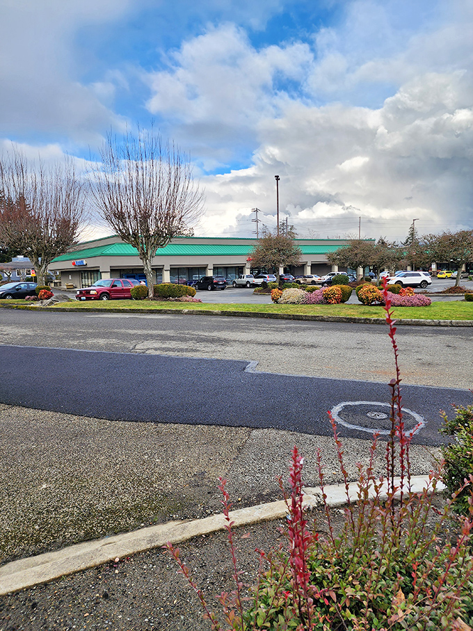 Sometimes the best view requires a little elevation - Gig Harbor rewards those who look beyond street level.