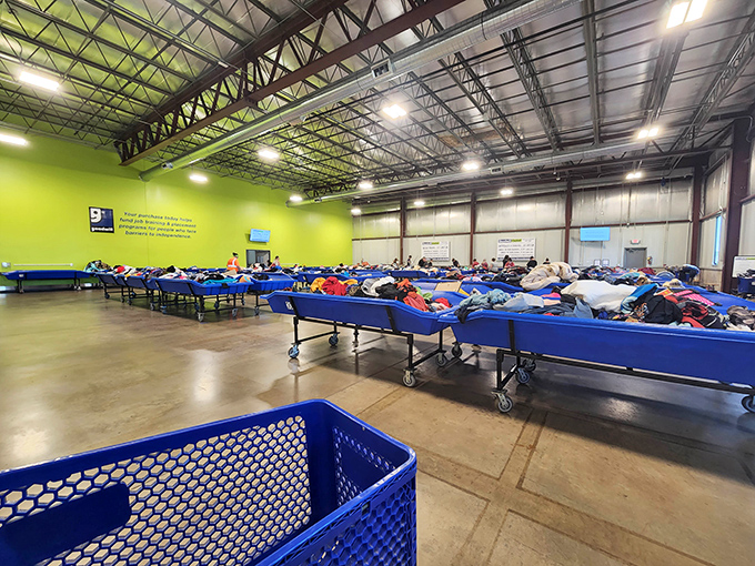 Blue bins of possibility&mdash;where thrifting becomes an Olympic sport and patience yields the greatest rewards.