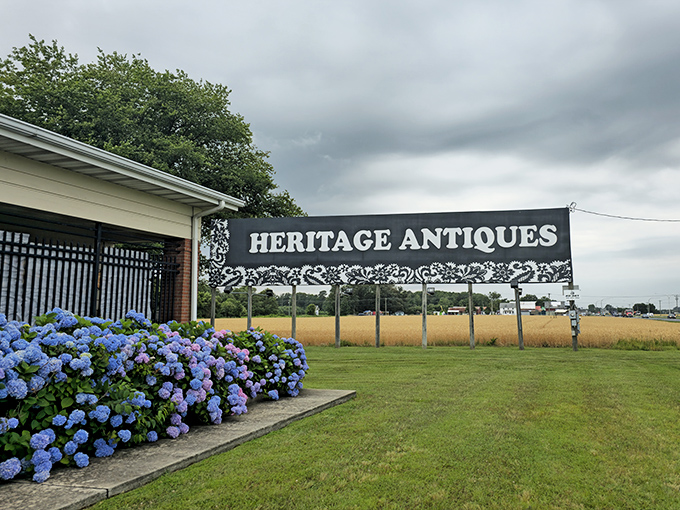 Heritage Antiques rises like a pristine white temple of vintage treasures, guarded by a sea of heavenly blue hydrangeas.