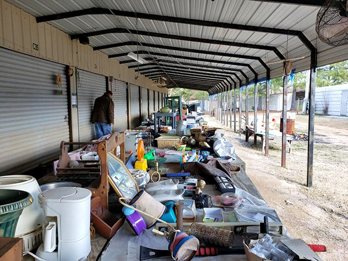 Aerial view reveals the true scope of this treasure-hunting paradise spread across Tennessee's beautiful countryside.