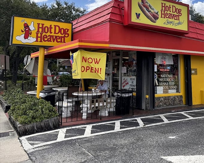 The "NOW OPEN" sign might be temporary, but the heavenly hot dog experience inside is eternally delicious.