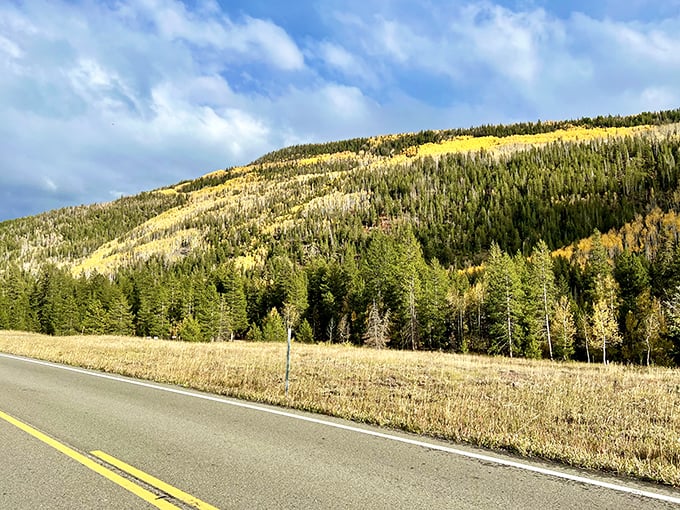 Fall colors paint the mountainsides like an artist who couldn't decide on just one shade of gold.