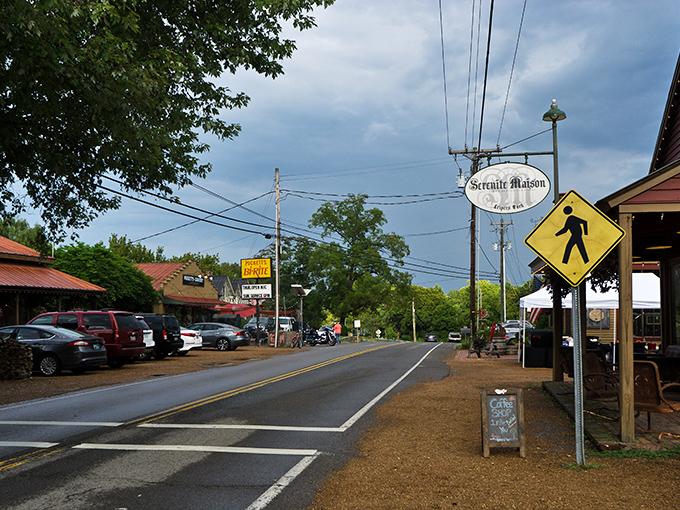 This quiet street in rural Tennessee reminds us that some of the best addresses don't need skyscrapers or traffic lights. Trees provide shade for generations of front porch conversations.