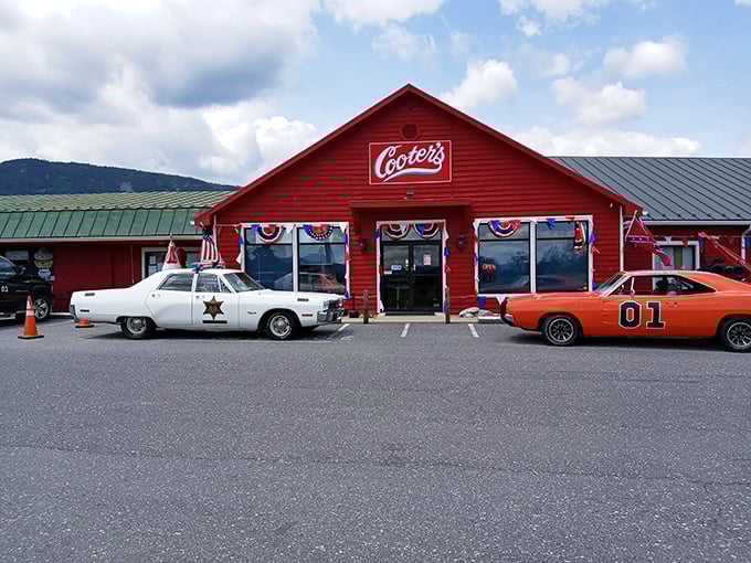 Cooter's, a Dukes of Hazzard-themed roadside attraction, where nostalgia comes with a side of "yeehaw" and classic cars.