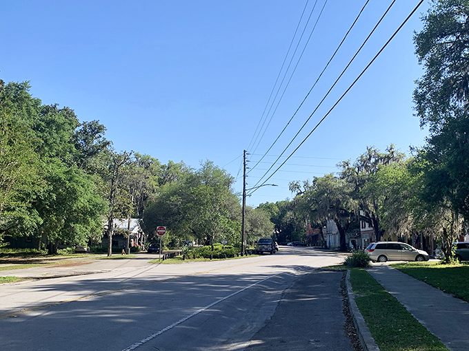 Micanopy's tree tunnel makes ordinary roads extraordinary&mdash;where dappled sunlight creates the kind of natural filter Instagram wishes it invented.