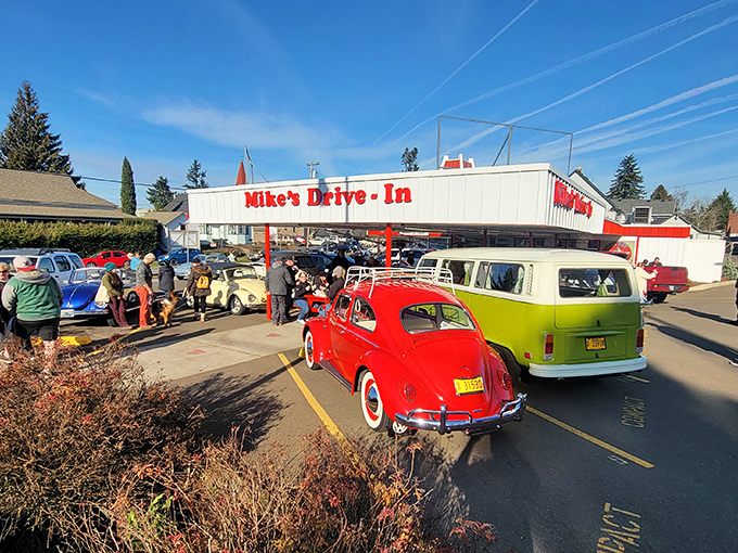 When vintage cars gather at Mike's Drive-In, you're witnessing a perfect pairing: automotive history and timeless comfort food.
