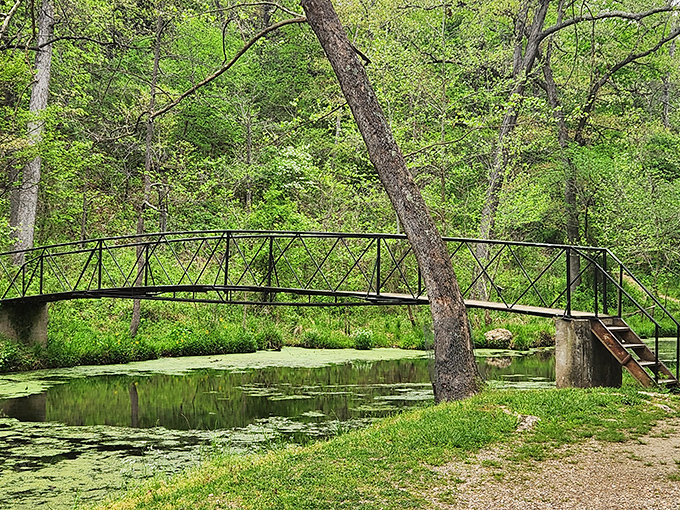 Spring's emerald carpet unfolds like nature's own welcome mat, inviting you to stay awhile longer.