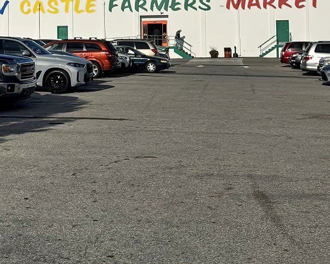 Regional treasure hunters gather here like pilgrims, filling parking lots with license plates and possibilities.