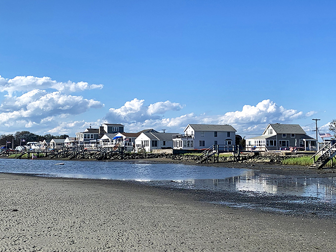 Classic shore homes reflected in tidal waters create a scene so peaceful, you can practically hear the seagulls and smell the salt air.