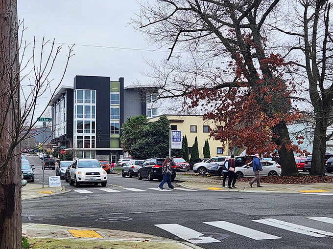 Olympia's tree-lined streets create shady corridors for shopping and dining, with prices that won't send your retirement budget into overtime.