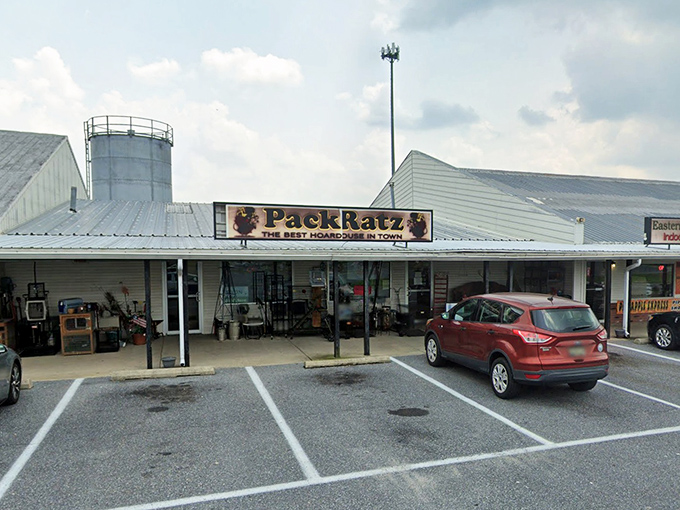 The sign says it all - this is where collectors and bargain hunters converge in a beautiful dance of discovery.