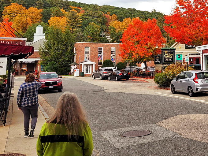 Fall foliage frames Peterborough's streets with colors so vibrant they'd make a box of crayons jealous.