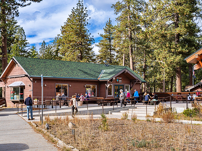 Mountains and trees rise behind Porterville's neighborhoods, offering a dramatic backdrop to everyday small-town life.