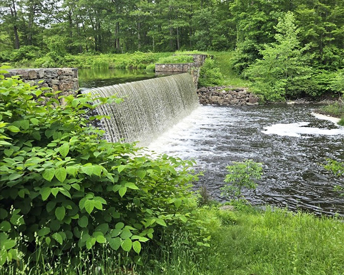 This footbridge at Ringwood spans rushing waters that sing songs older than the surrounding mountains.