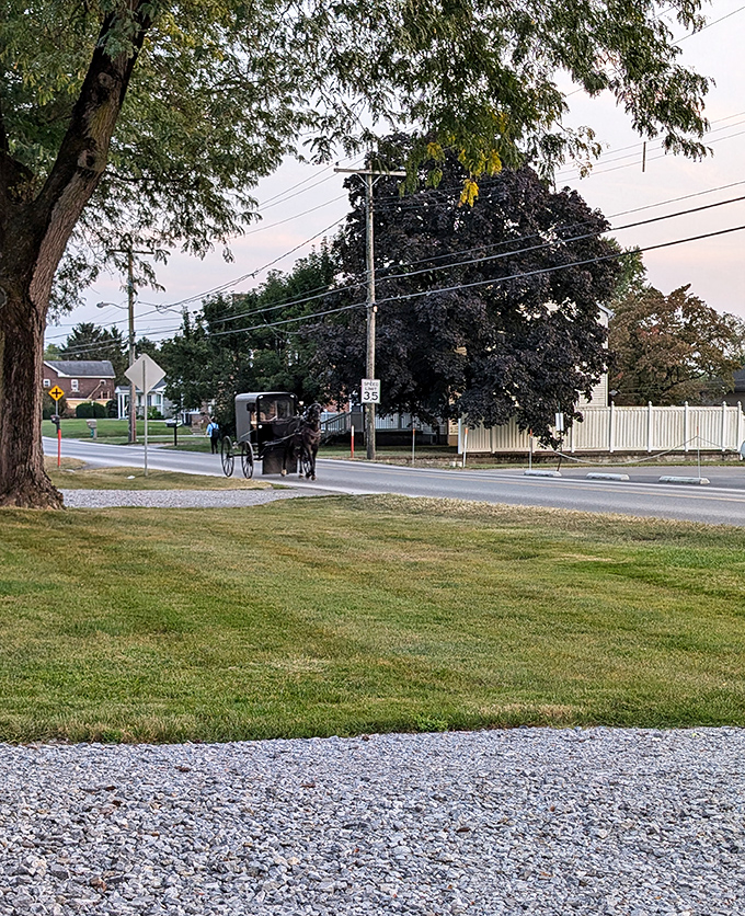Golden light bathes this peaceful street, where a horse-drawn carriage makes it look straight out of a Norman Rockwell painting.