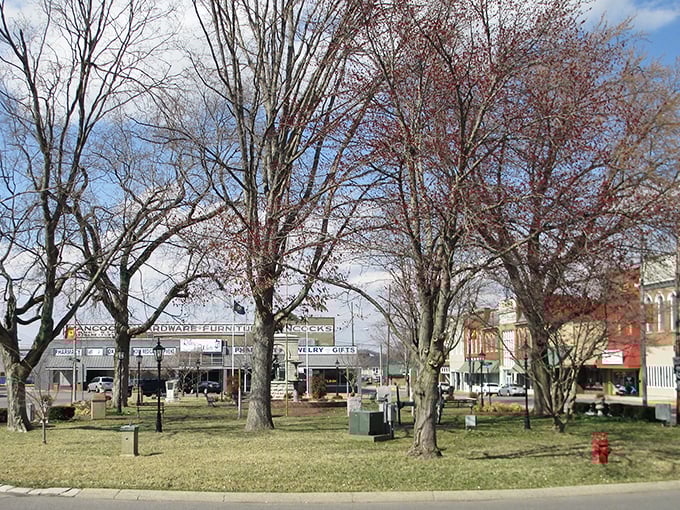 The town square's ancient trees stand guard over Russellville's historic buildings, a living postcard from simpler times.