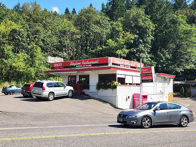 Simple white building, extraordinary burgers. Skyline Restaurant proves that sometimes the best things come in plain packages.