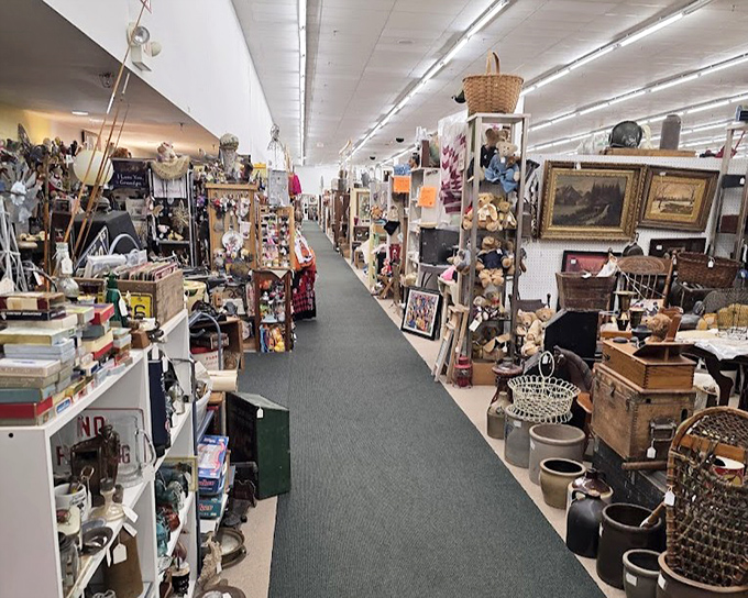 Clean, bright aisles filled with yesterday's treasures – organized chaos at its most tempting.