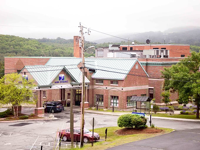 Tree-lined streets in Springfield offer shade in summer and shelter from winter winds, natural luxuries that come standard with affordable living.