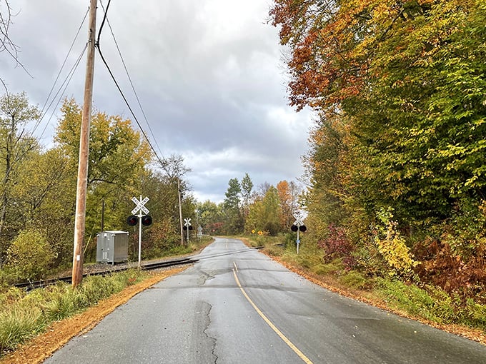 Nature's confetti celebration! Stratford's leaf-strewn railway crossing serves autumn realness with a side of Stephen King mystique.