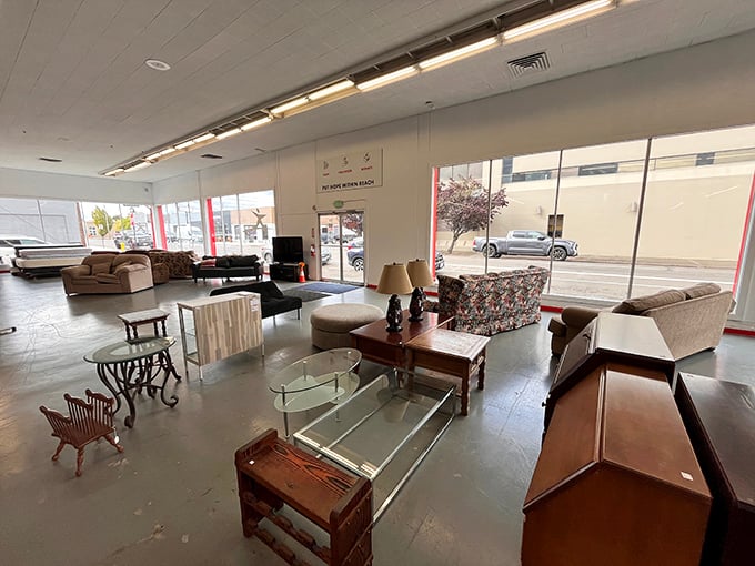The furniture section at Albany's SuperThrift looks like a living room waiting to happen. That glass coffee table is practically begging to come home with you.
