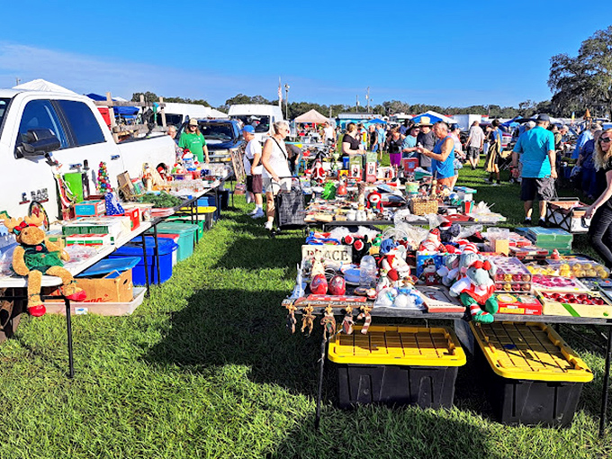 Outdoor markets like this turn shopping into an adventure under Florida's endless blue skies.