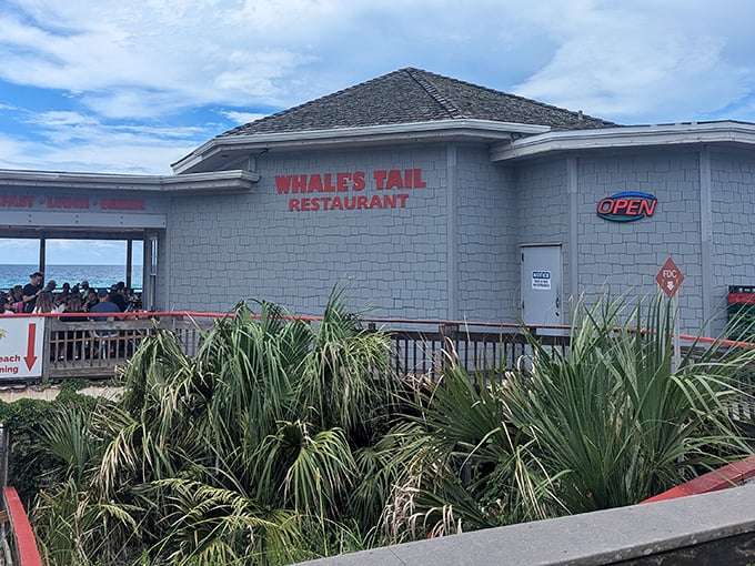 Simple on the outside, spectacular on the inside &ndash; The Whale's Tail puts you so close to the water you'll check for fins.