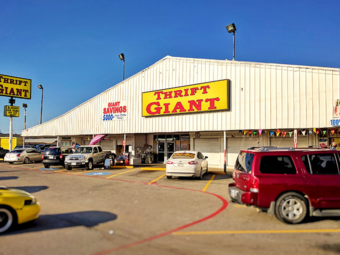 Yellow signs beckon bargain hunters like lighthouse beacons guiding ships safely to treasure shores.