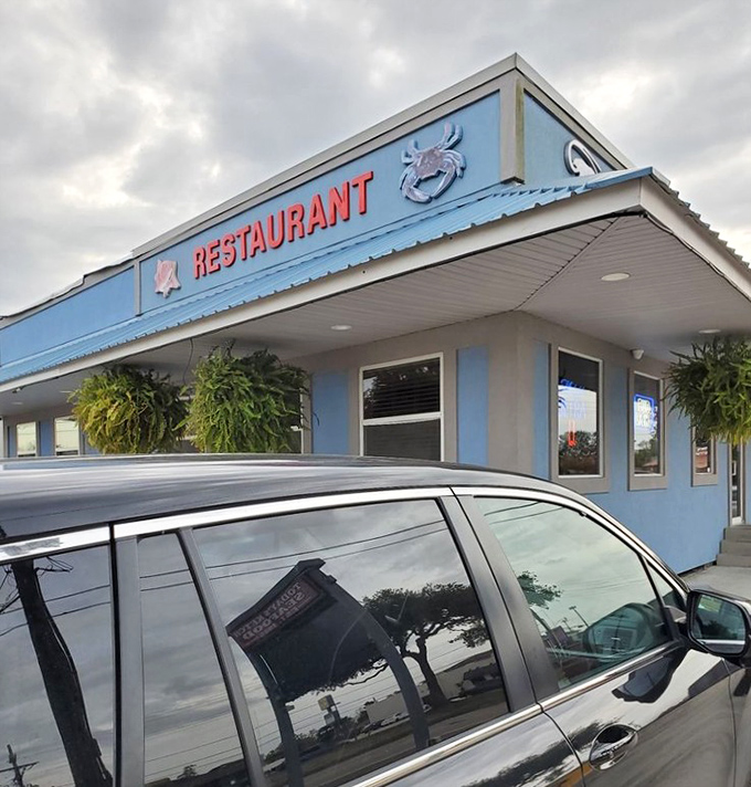 Simple buildings often house the most complex and satisfying seafood experiences you'll ever taste.