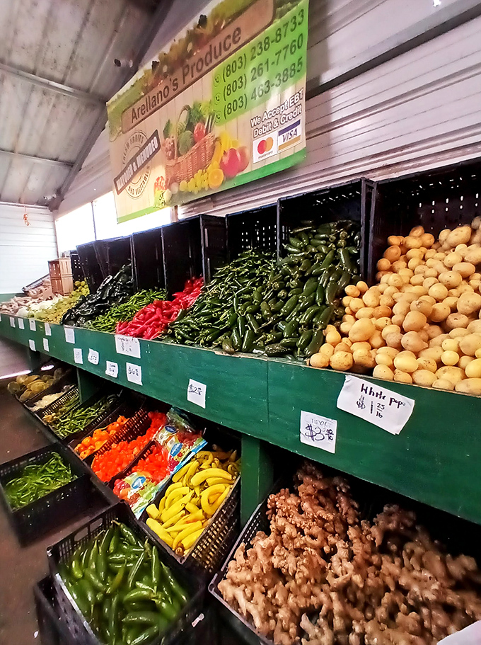 Fresh produce displays remind you that some of life's best deals come straight from the earth.