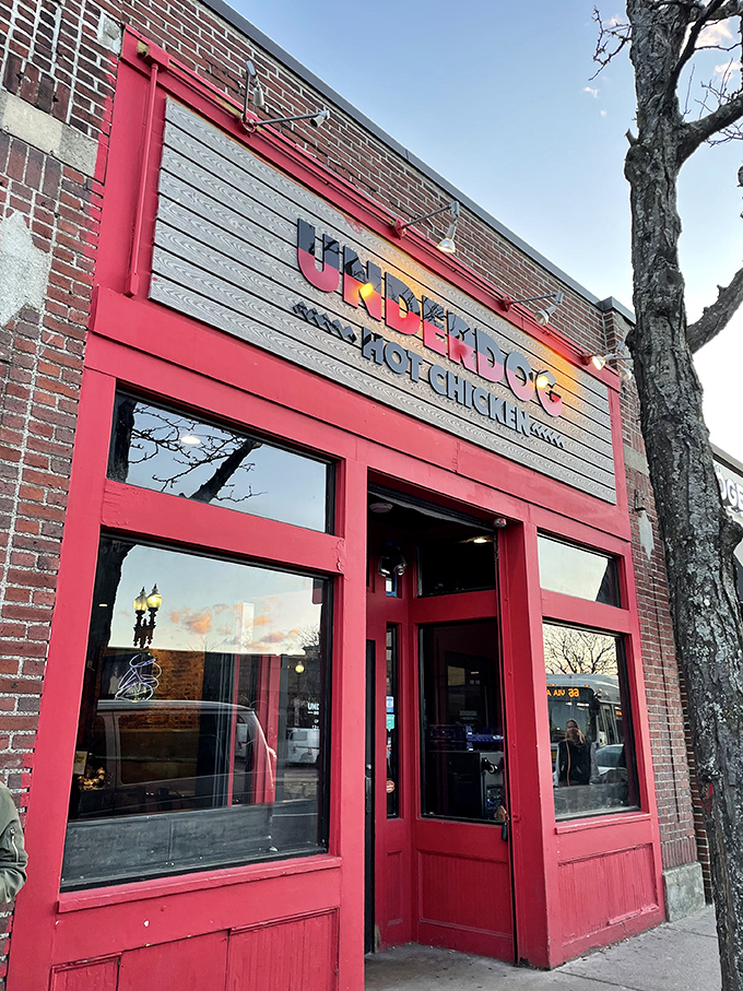 This crimson storefront practically vibrates with the promise of perfectly spiced, soul-warming chicken goodness. 