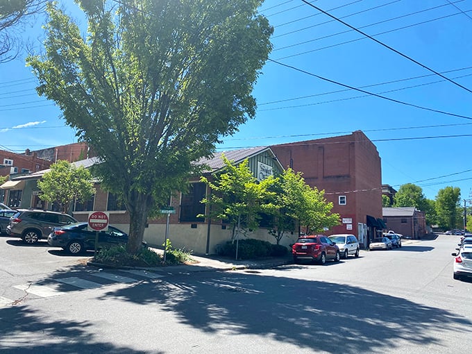 Waynesville's street scene offers that perfect blend of historic charm and modern convenience that makes mountain towns so irresistible.