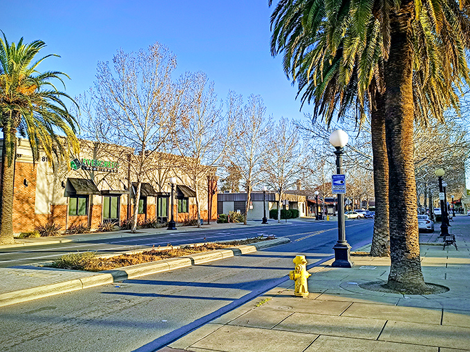 Palm trees and charming storefronts create that California feel without the high prices of more famous destinations.