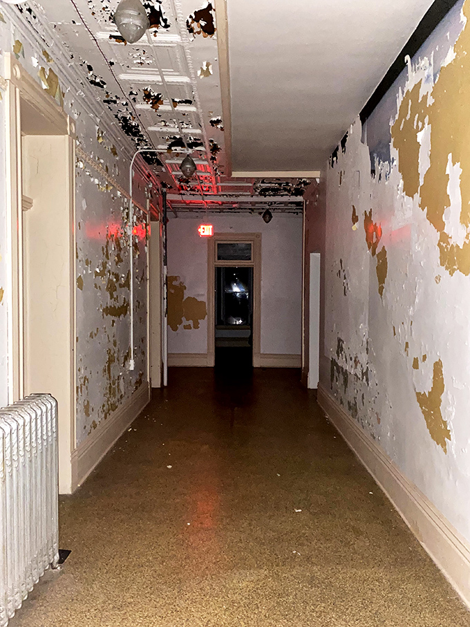 If hallways could talk, this one would scream. Peeling paint and exposed walls reveal layers of history like rings in a very disturbing tree.