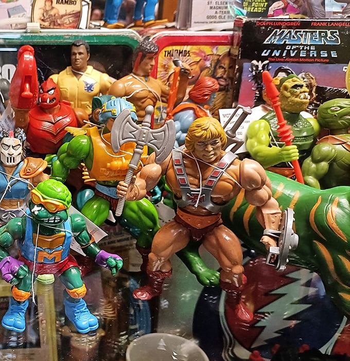 The action figure battalion stands at attention, ready to defend your nostalgia. He-Man and the Ninja Turtles never really retired, they just relocated here.