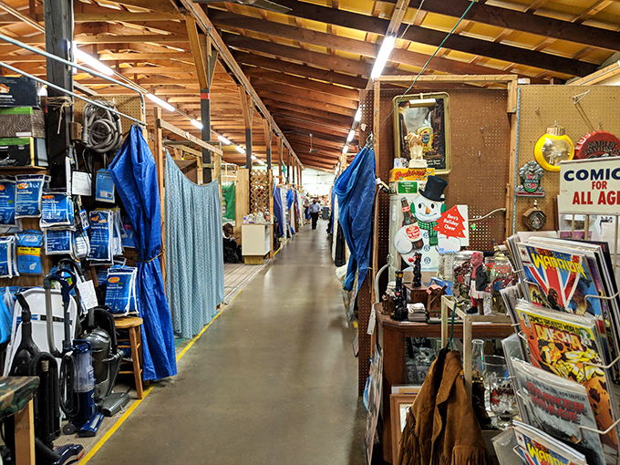 Where comics meet collectibles in a nostalgia-fueled corridor. Every Gen-Xer's childhood is preserved somewhere in these aisles.