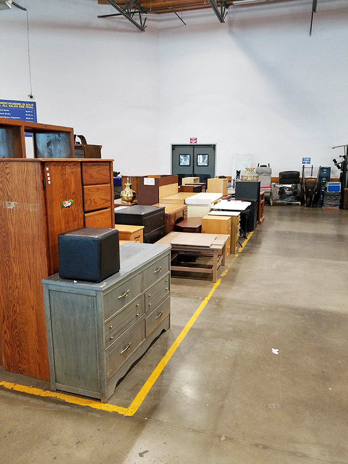 Not just clothing&mdash;the bins contain life stories, cast-off memories, and occasionally, the exact item you didn't know you needed until now.